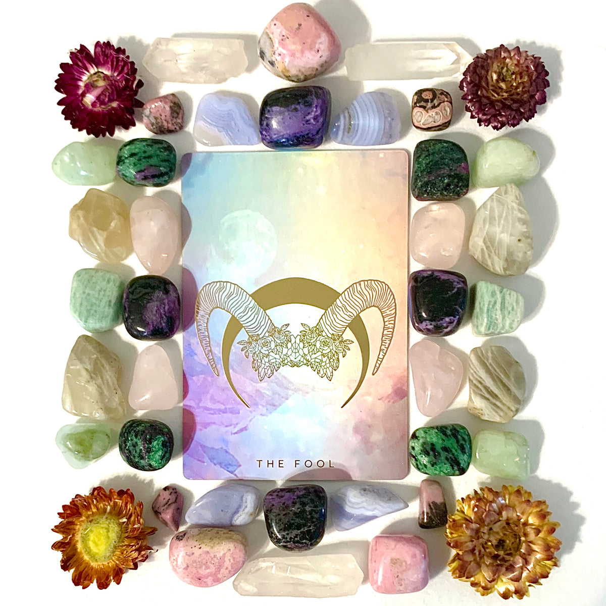 The Fool – The Pop Rocks Shop